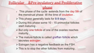 menstrual cycle.pptx