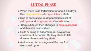 menstrual cycle.pptx