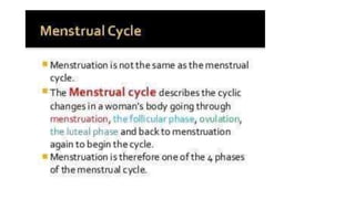 Menstrual Cycle.pptx