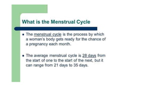 Menstrual Cycle.pptx