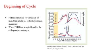 Menstrual cycle.pptx | Menopause | Endocrine and Metabolic Diseases