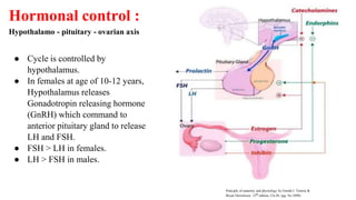 Menstrual cycle.pptx