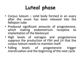 Menstrual cycle.pptx