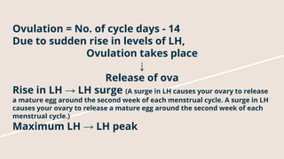 MENSTRUAL CYCLE.pptx