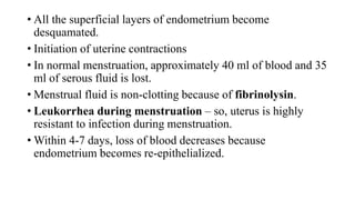 menstrual cycle.pptx