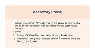 MENSTRUAL CYCLE.pdf