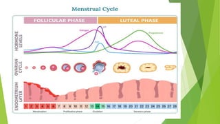 Menstrual Cycle for Grade 10 Science.pptx
