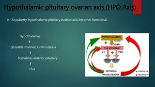 menstrual cycle in females subject gyanecology | PPT