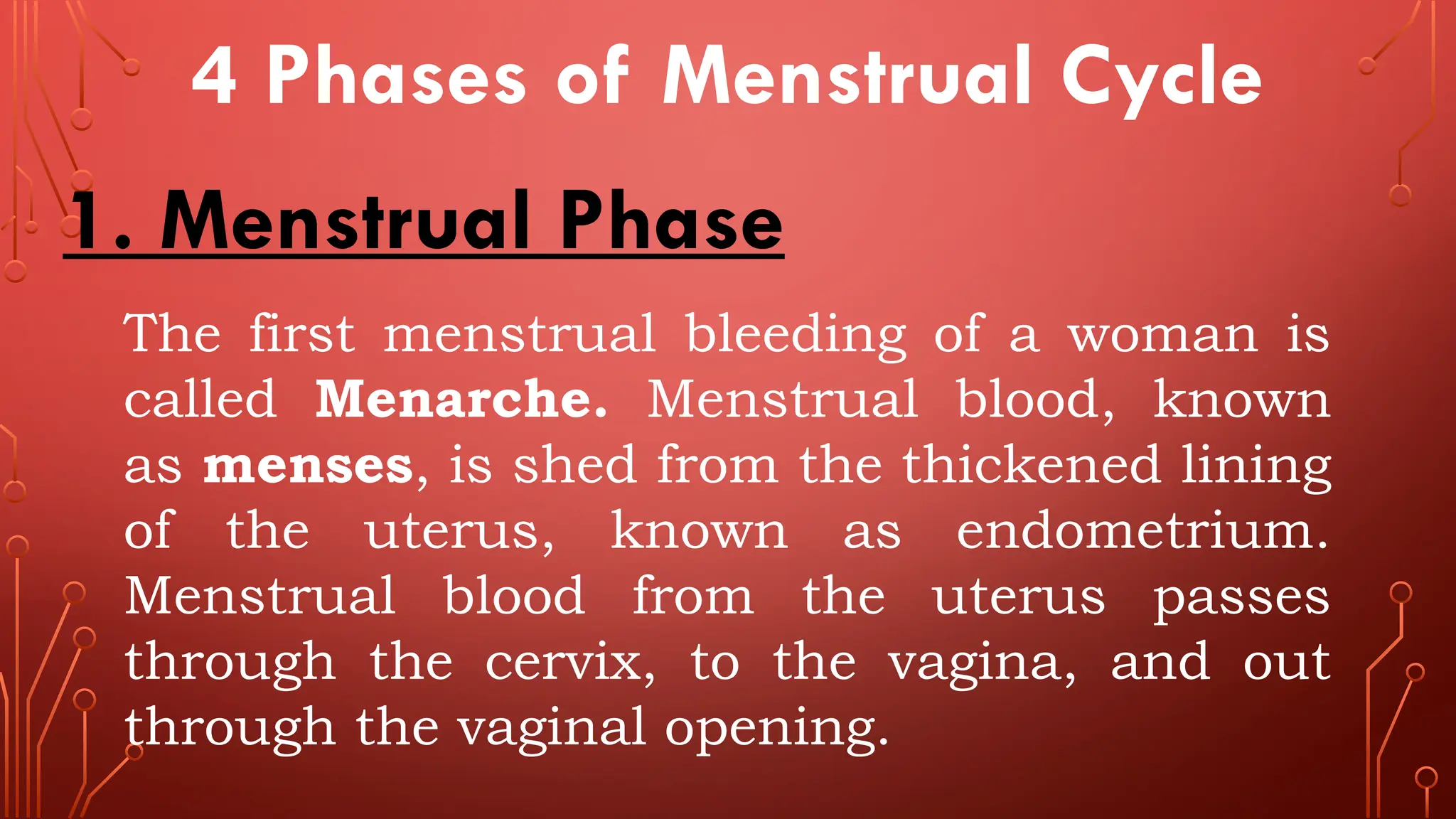 MENSTRUAL CYCLE lesson for grade school learners | PPTX