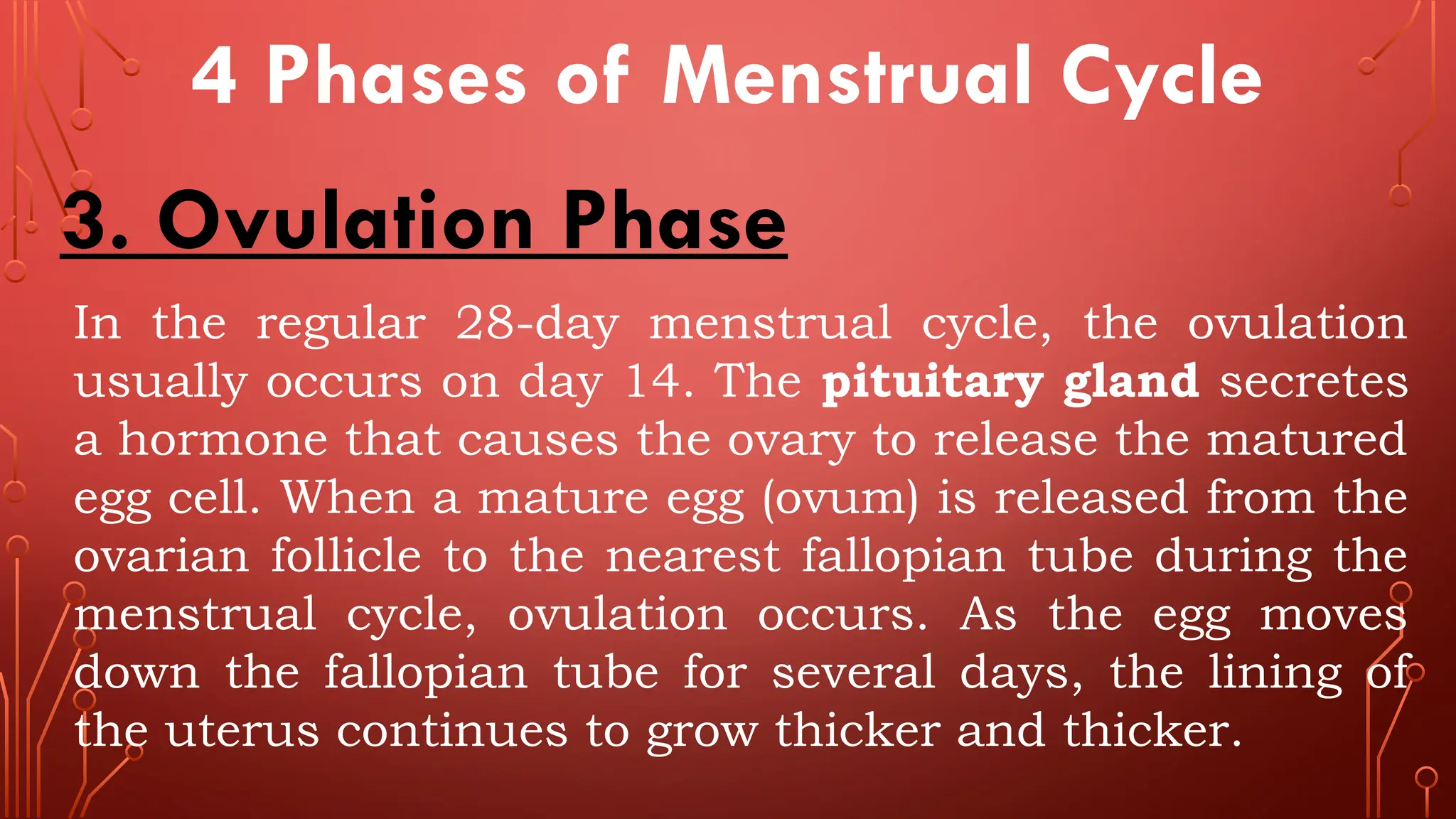MENSTRUAL CYCLE lesson for grade school learners | PPTX