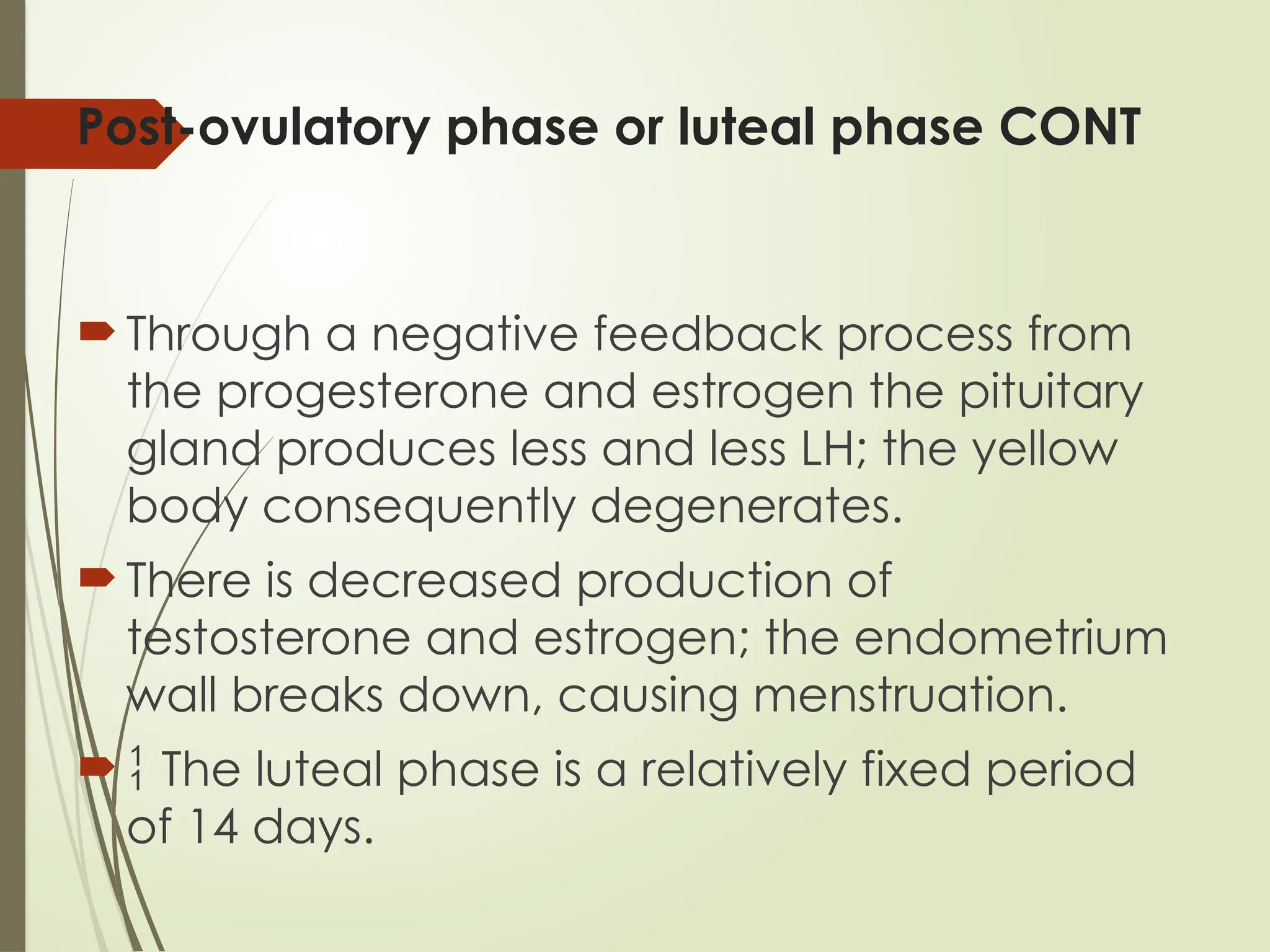 MENSTRUAL CYCLE .pptxxxxxxxxxxxxxxxxxxxxx | PPTX