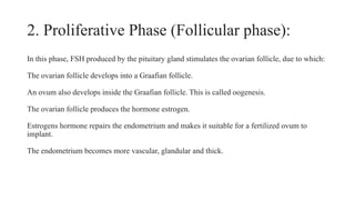 Menstrual Cycle &Ovulation Peroids .pptx