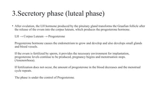 Menstrual Cycle &Ovulation Peroids .pptx