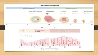 3rd Quarter Grade 10 Menstrual Cycle.pptx
