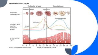 MENSTRUAL CYCLE IN FEMALE BODY BY SUMITA BHATTACHARYA. TUTOR. N.T.S ...
