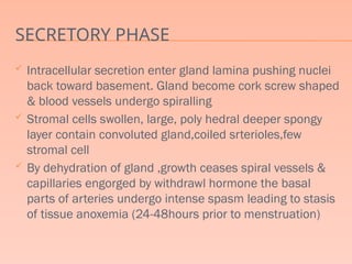 Menstrual Cycle - Physiology of Female Reproductive System | PPTX