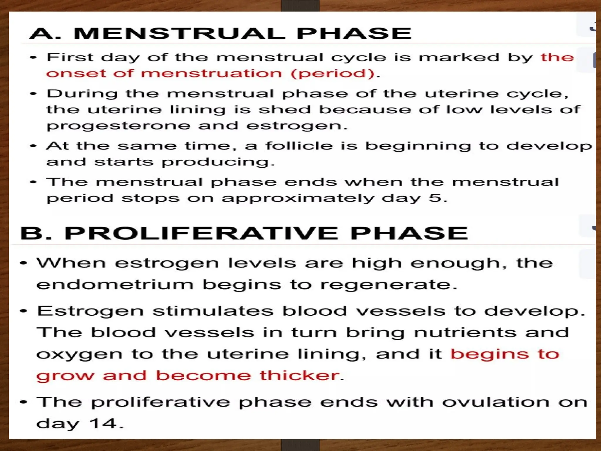 menstrual cycle.pptx female reproduction | PPTX