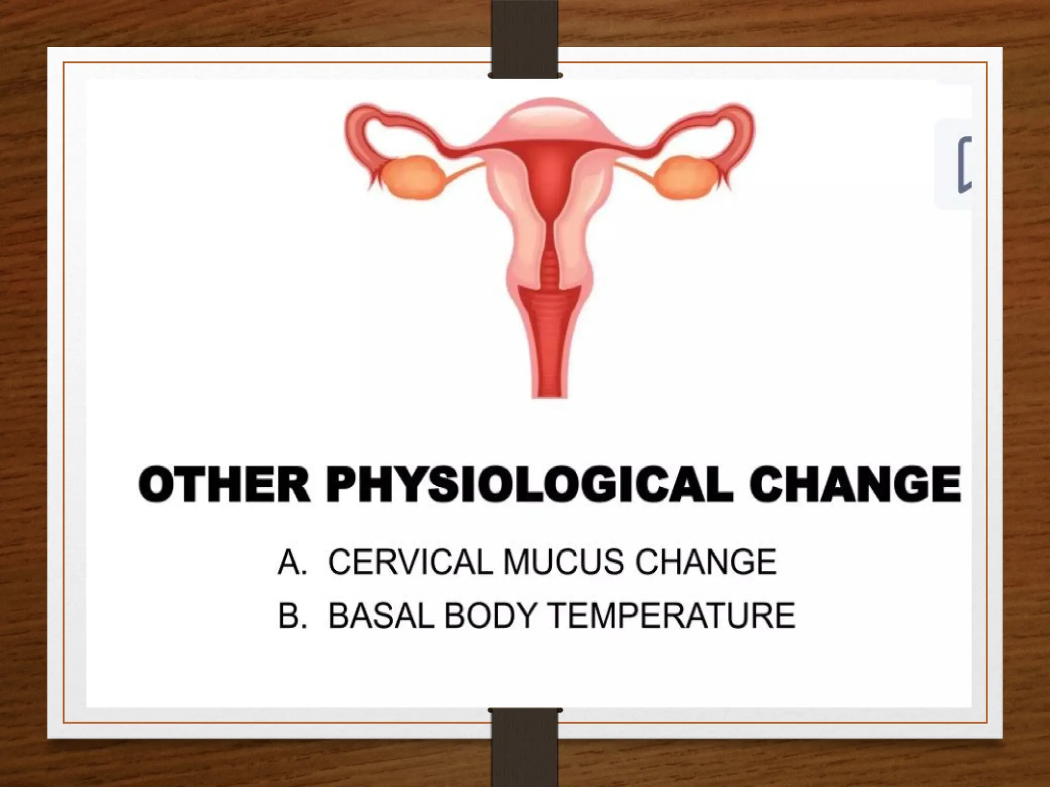 menstrual cycle.pptx female reproduction | PPTX