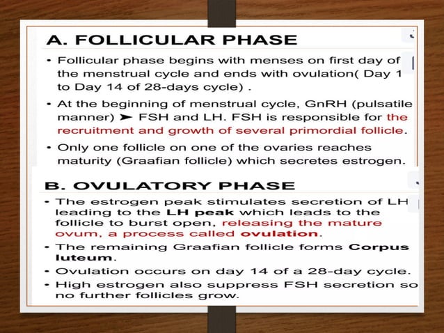 menstrual cycle.pptx female reproduction | PPTX
