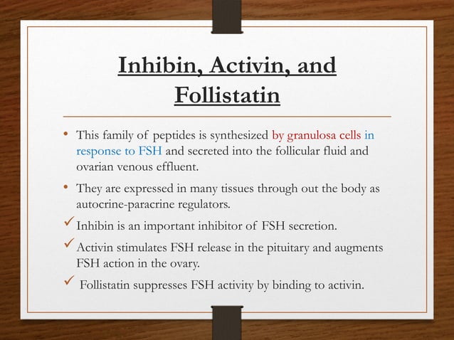 menstrual cycle.pptx female reproduction | PPTX
