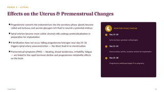 Comprehensive Study Notes on the Menstrual Cycle: Phases, Hormonal ...