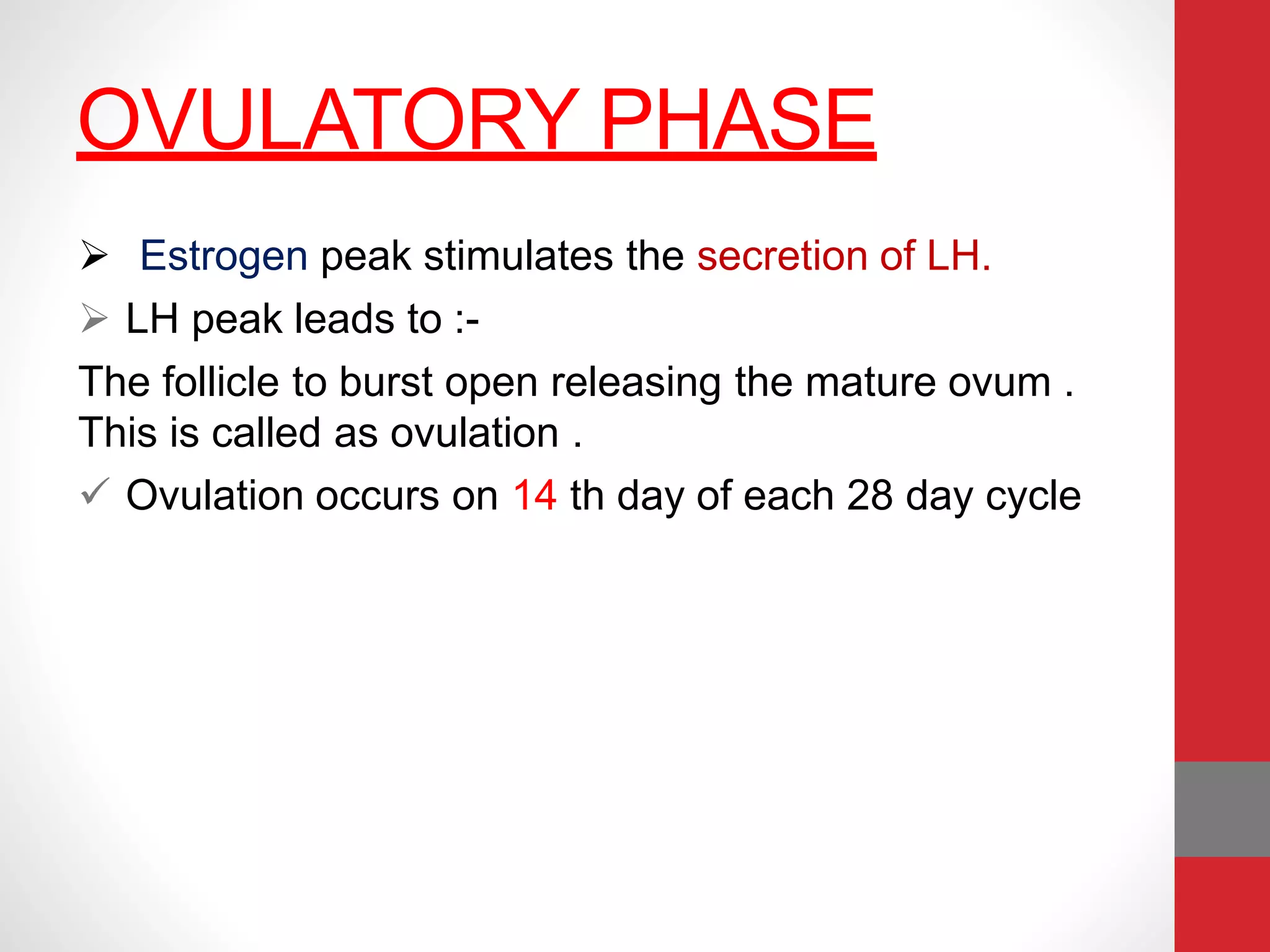 menstrual cycle- Anju.pptx