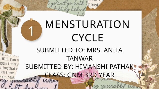 menstrual cycle 001.pptx anatomy and physiology | PPT