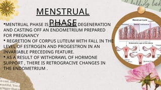 menstrual cycle 001.pptx anatomy and physiology | PPTX