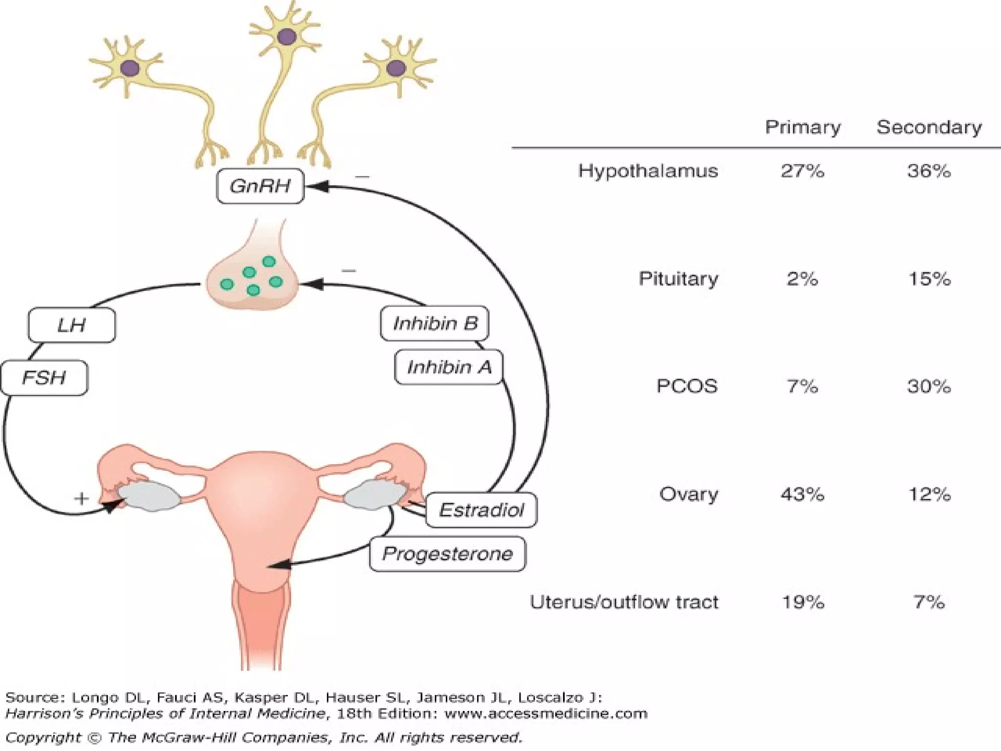 Menstrual cycle & abnormalities | PPT