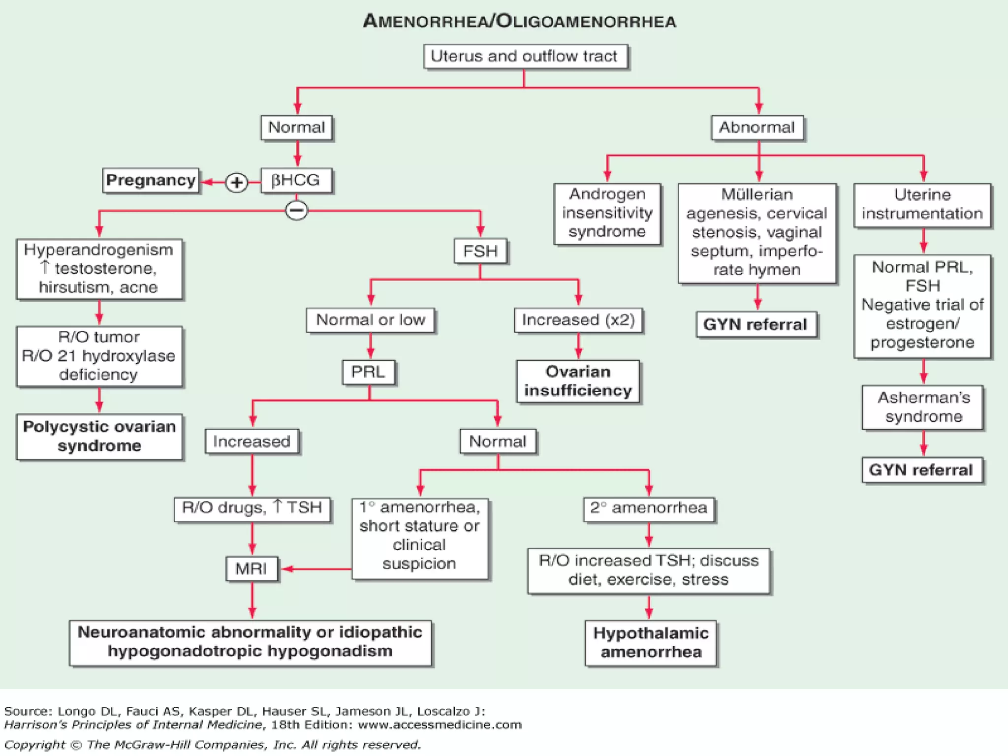 Menstrual cycle & abnormalities | PPT