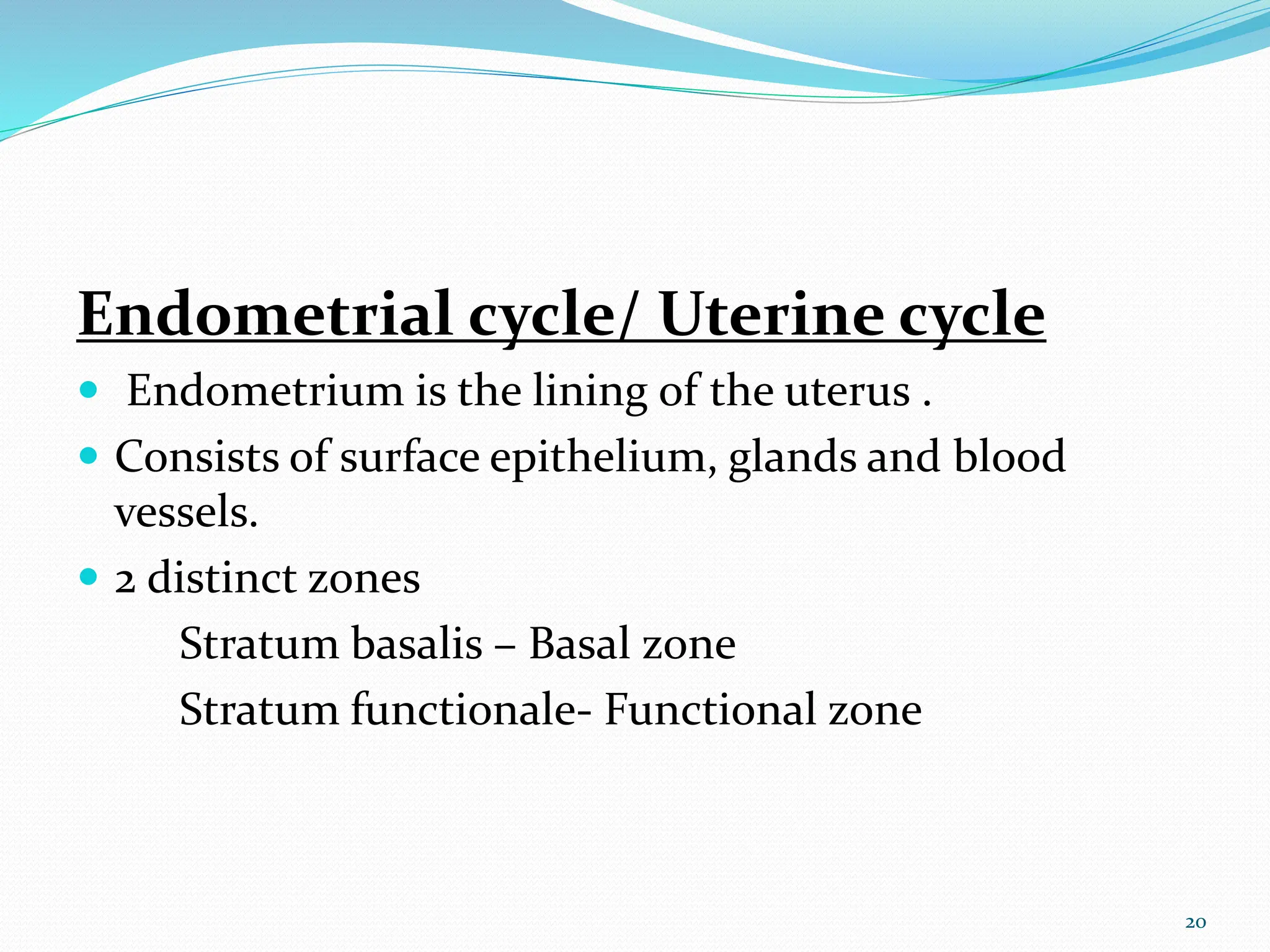 Menstrual Cycle And Hypothalamo Pituitary Ovarian Axis Ppt