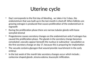 Menstrual Cycle and menstrual cycle regulation.pptx