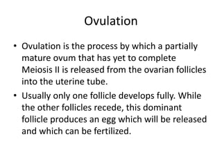 MENSTRUAL CYCLE AND OVULATION 04-09-23 dr.Aremu.ppt