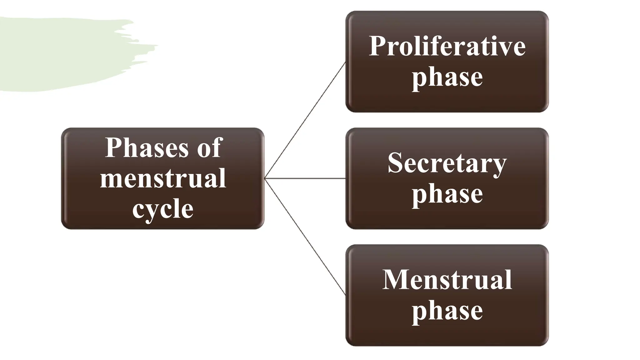 MENSTRUAL CYCLE AND HUMAN SEXUALITY PPTX | PPTX