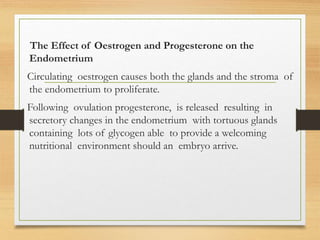 menstrual cycle [Autosaved]-2 (5).pptx