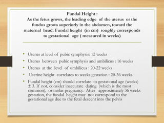 menstrual cycle [Autosaved] (1).pptx for studnts | PPTX