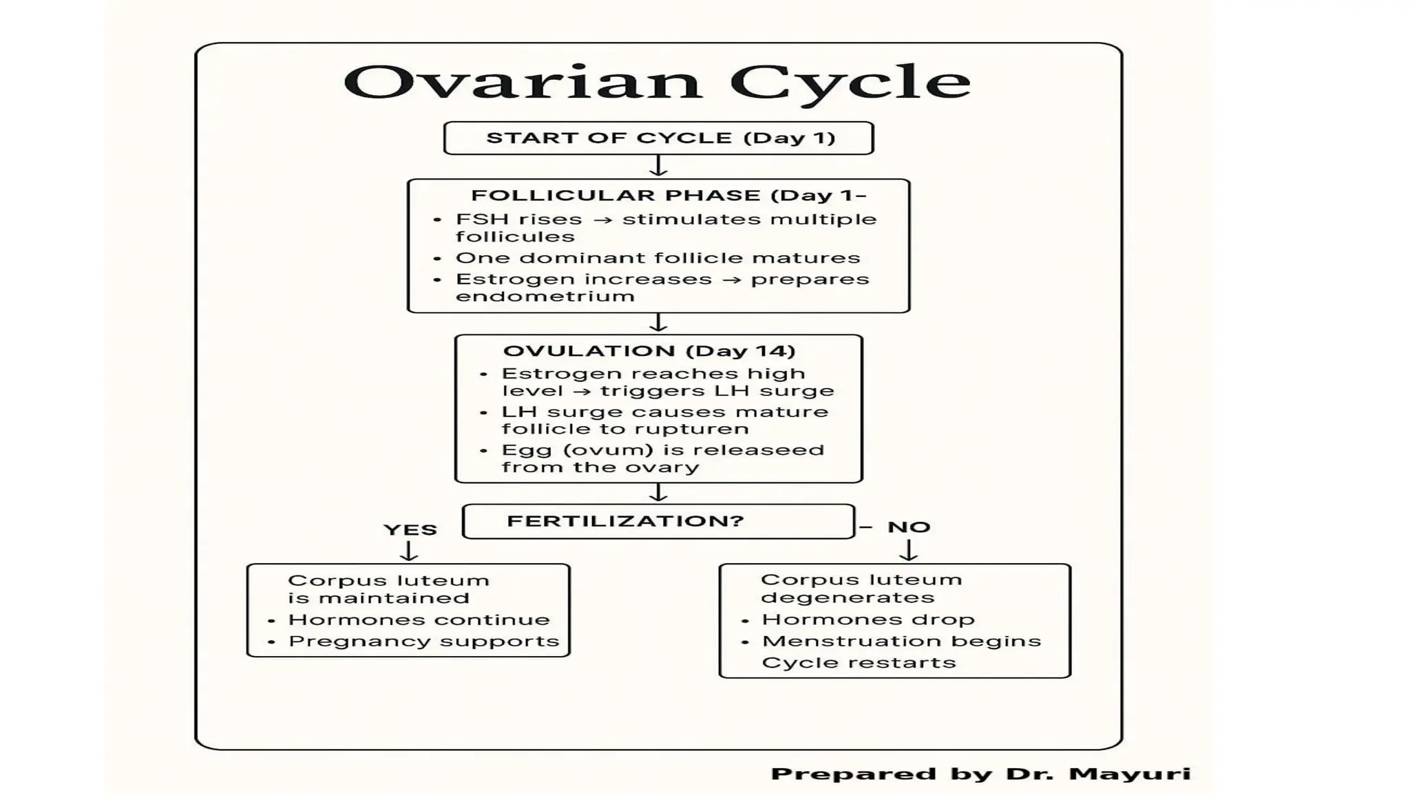 MENSTRUAL CYCLE MADE EASY TO UNDERSTAND BY DR MAYURI | PPTX