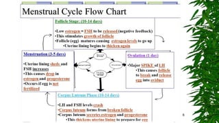 Menstrual Cycle Flow Chart
