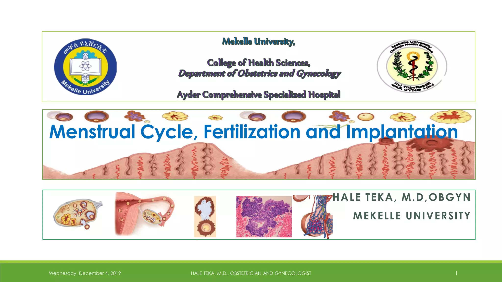 Menstrual cycle, fertilization and implantation | PDF