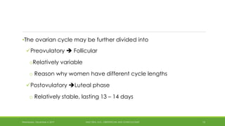 Menstrual cycle, fertilization and implantation | PDF