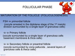 Menstrual cycle | PPTX