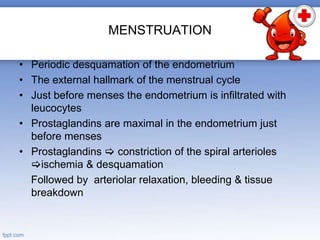 Menstrual cycle | PPTX