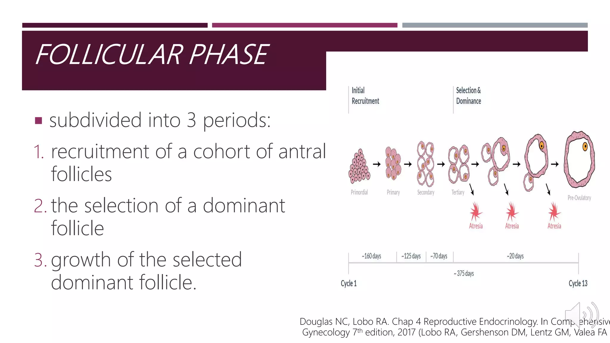 Menstrual cycle lecture dr irabon | PPTX
