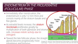 Menstrual cycle lecture dr irabon | PPTX