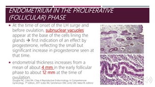 Menstrual cycle lecture dr irabon | PPTX