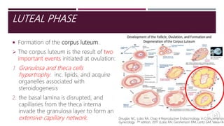 Menstrual cycle lecture dr irabon | PPTX