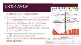 Menstrual cycle lecture dr irabon | PPTX