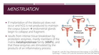 Menstrual cycle lecture dr irabon | PPTX