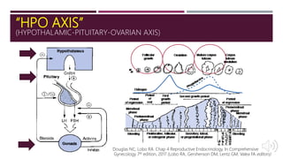 Menstrual cycle lecture dr irabon | PPTX