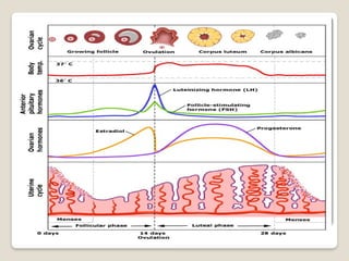 Human_MENSTRUAL_CYCLE_(Ovarian_Cycle).pptx